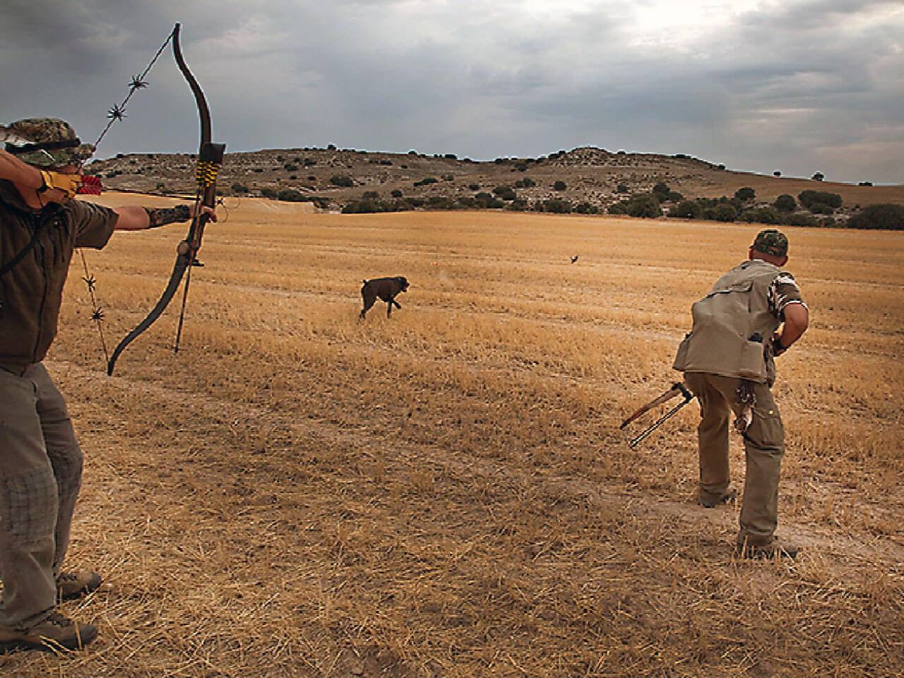 Federación Madrileña de Caza | Areas | Caza con arco